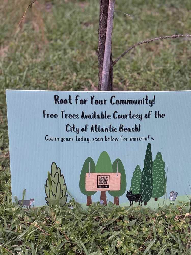 Apply for Free Trees for Atlantic Beach Residents – Keane & Coastal
