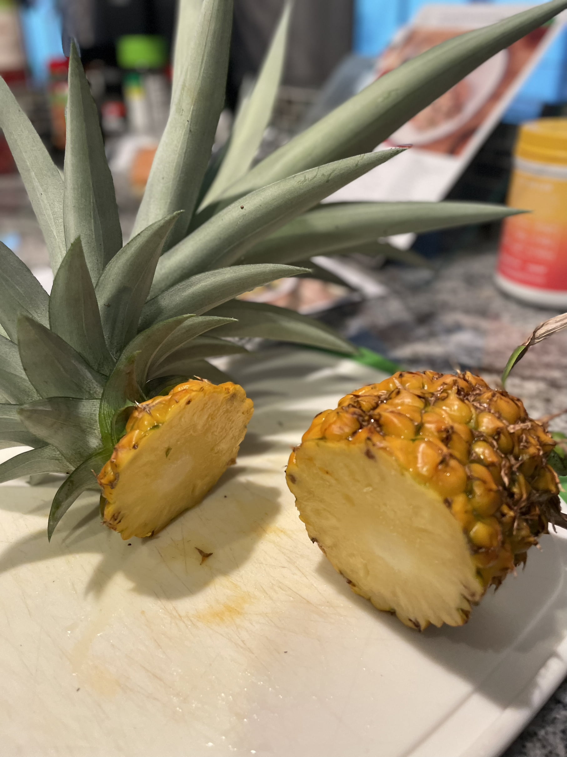 Growing Pineapples in Florida – Keane & Coastal